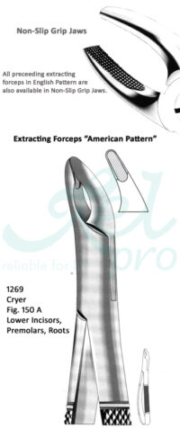 Cryer American Lower Incisors Premolars Roots Fig 150 A - Relpro